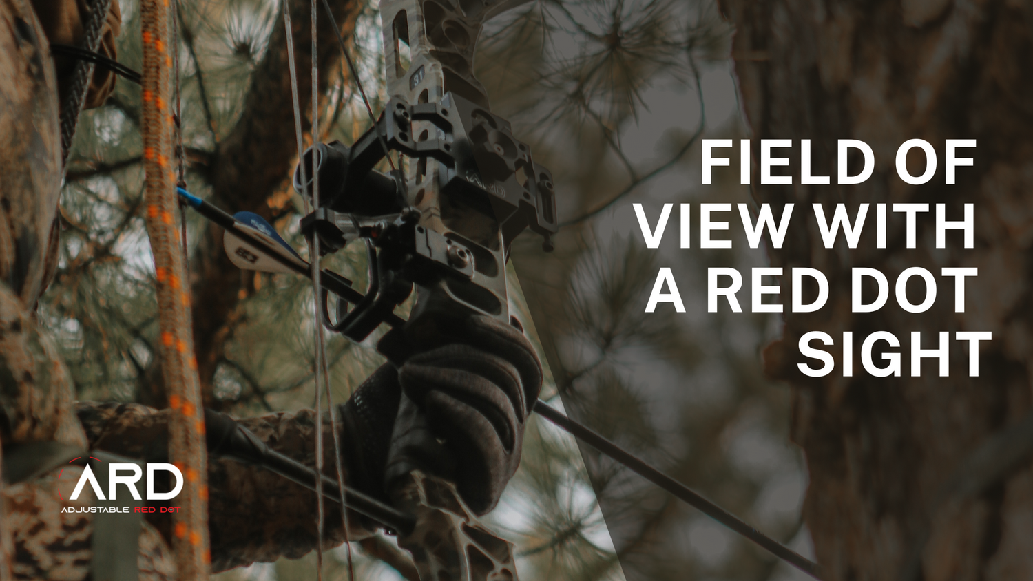 Field Of View With A Red Dot Sight – ARD